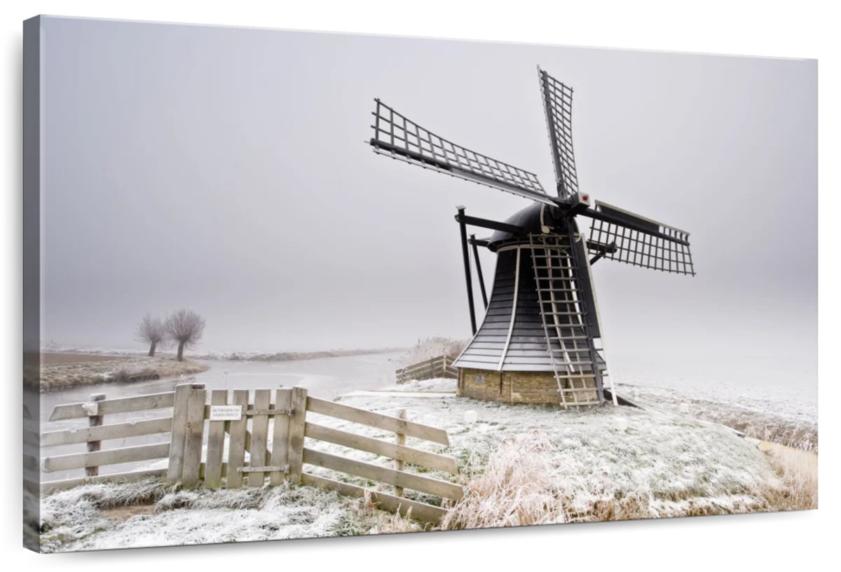 Elephant Stock Winter Windmill | Wayfair