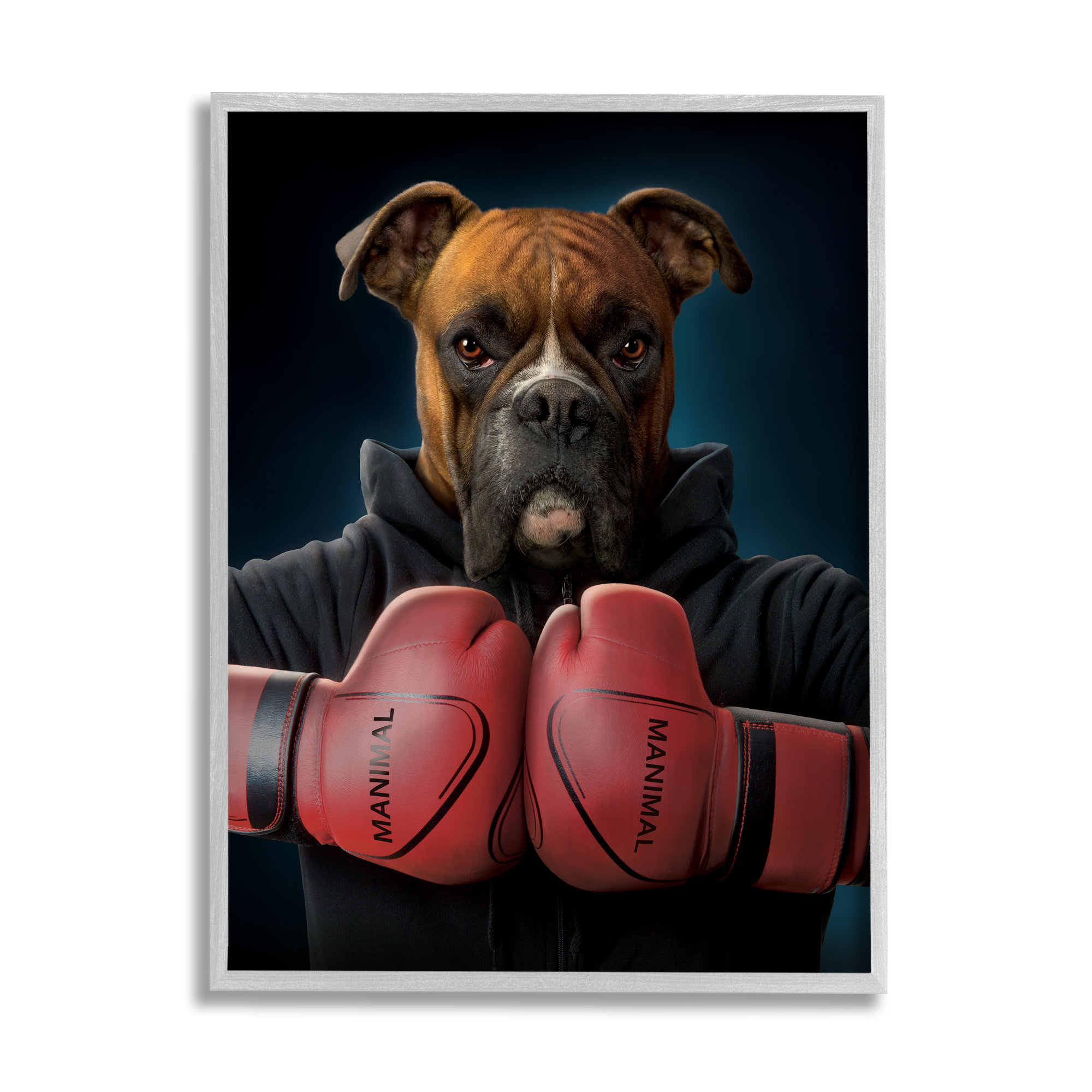 Stupell Industries Az-214-Framed Boxing Boxer Dog On Canvas by Vincent ...