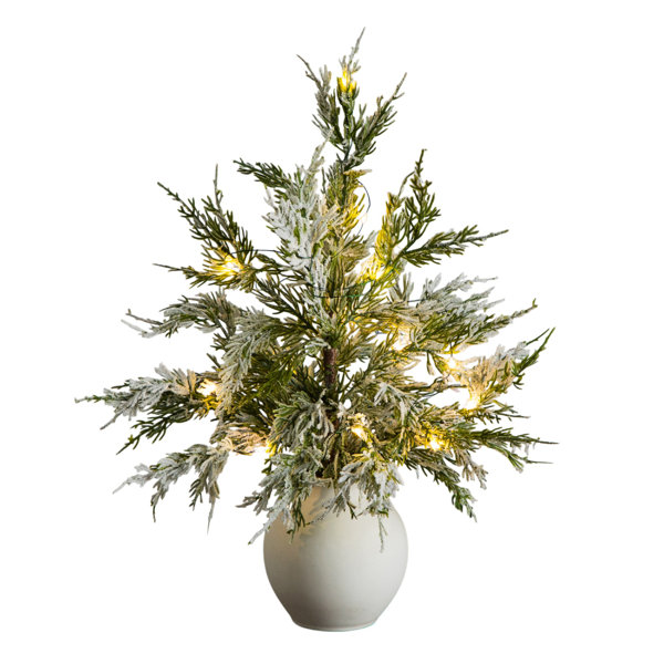 The Holiday Aisle® 18In. Pre-Lit Artificial Mini Snowed Cypress ...