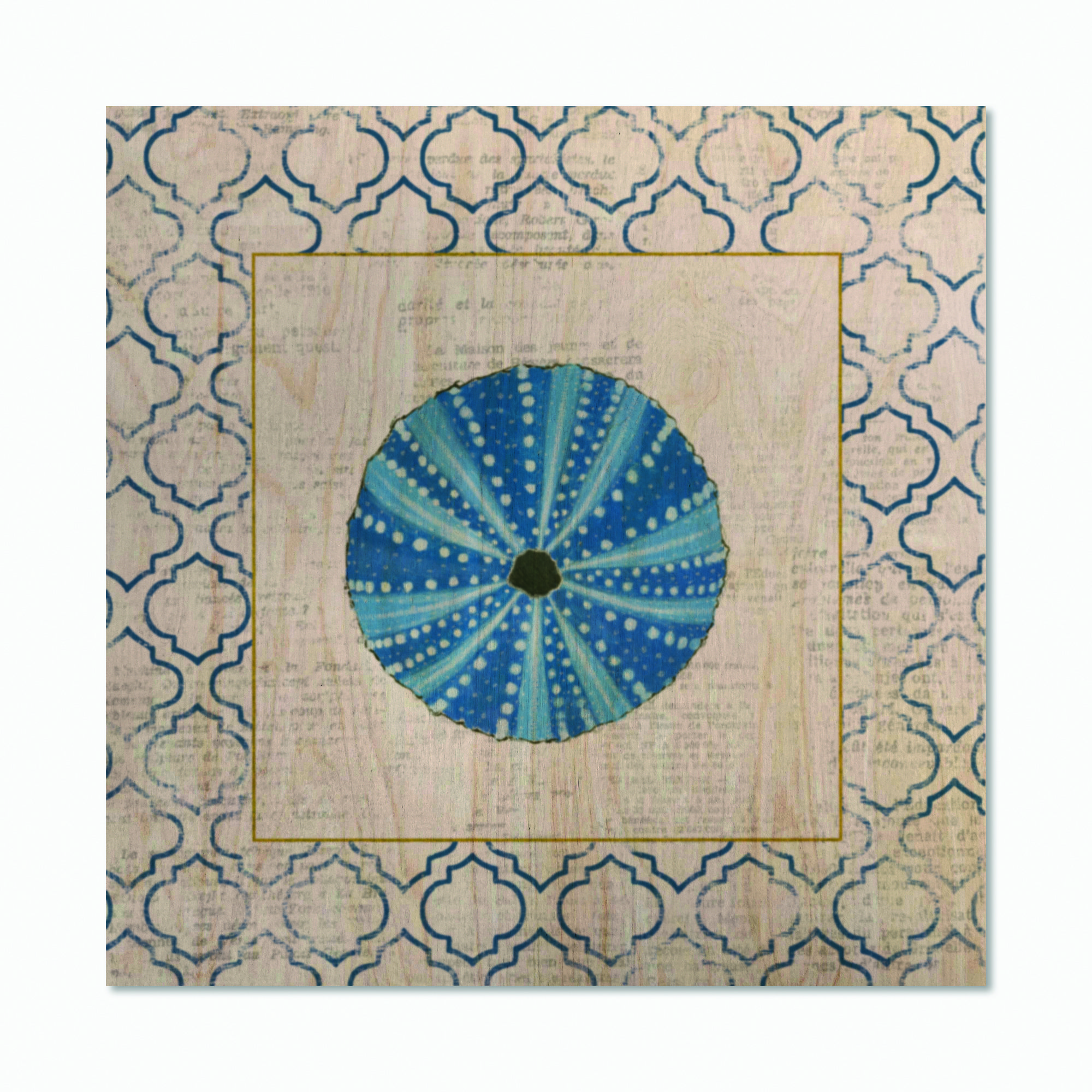 Dovecove Blue Conch Shell On Blue Coastal Pattern - Nautical & Coastal ...