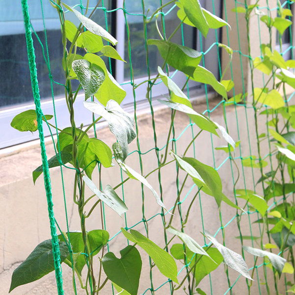 Arlmont & Co. 72'' H Polyethylene Expanding Trellis & Reviews | Wayfair