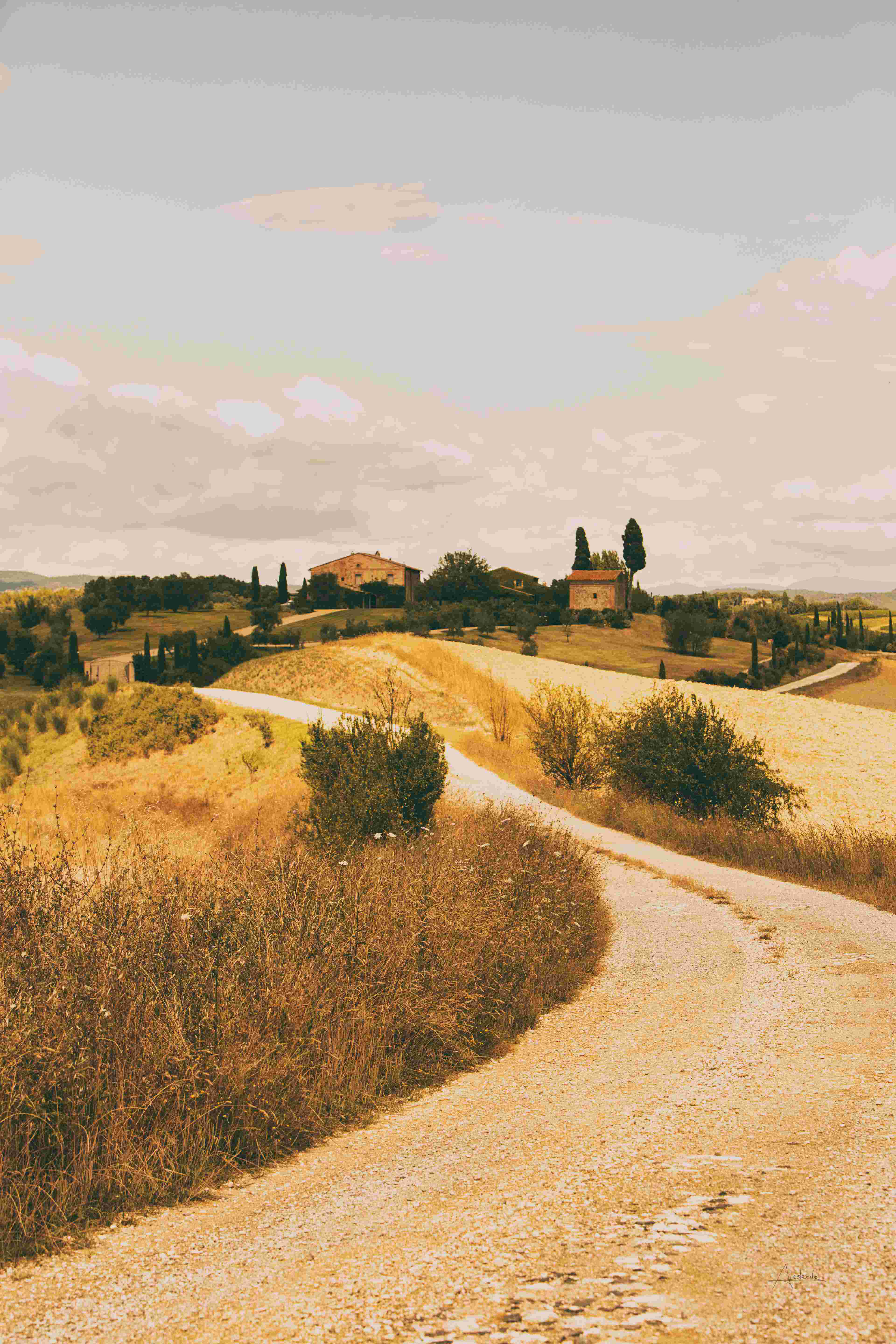 August Grove® Strada Bianca II | Wayfair