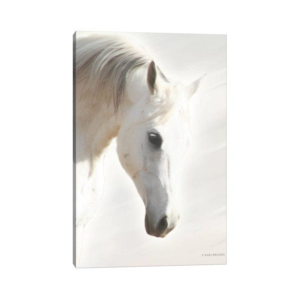 Brambly Cottage Pegasus I by Kari Brooks - Wrapped Canvas Gallery ...