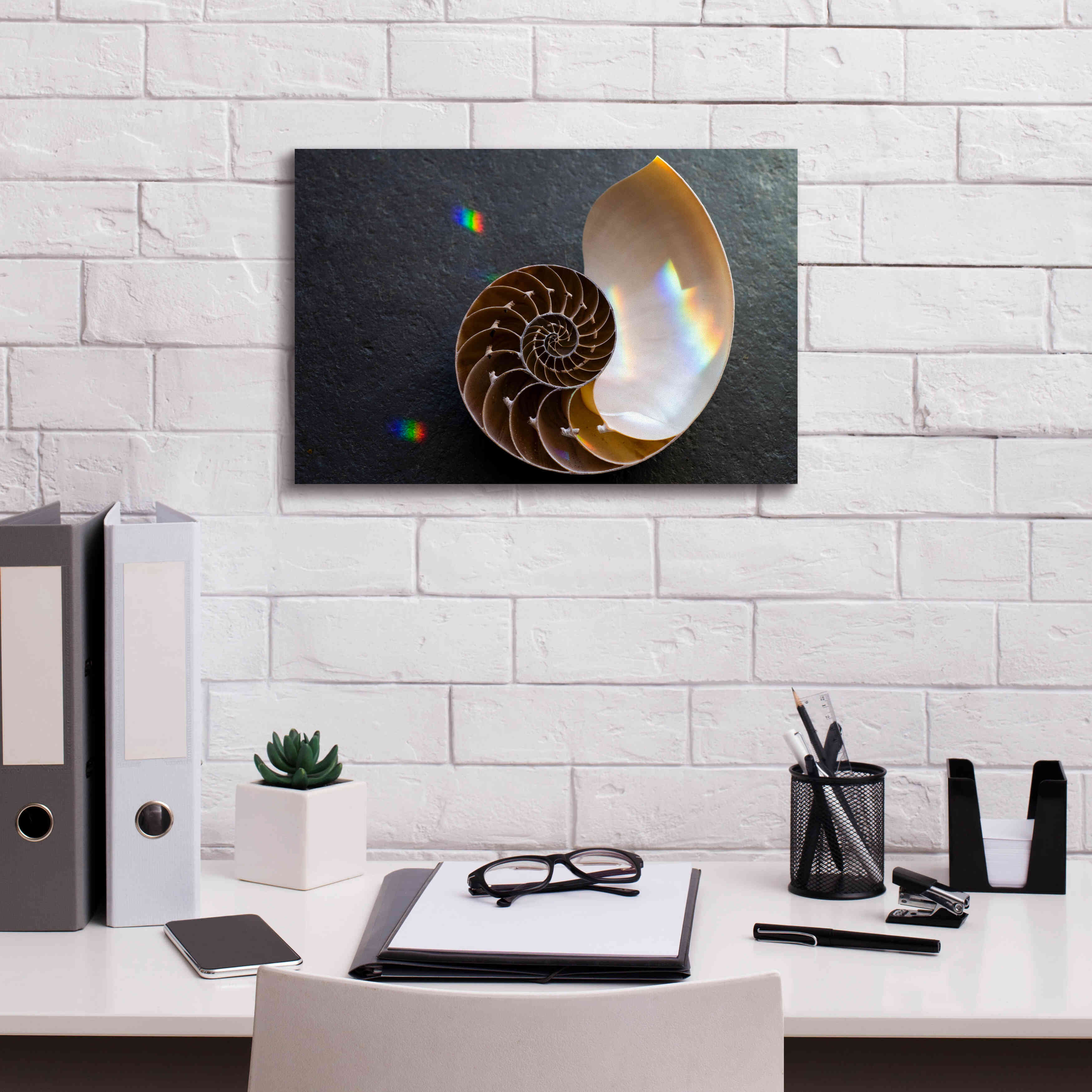 Dovecove 'Sacred Geometry Nautilus Shell' By Elena Ray, Canvas Wall Art ...