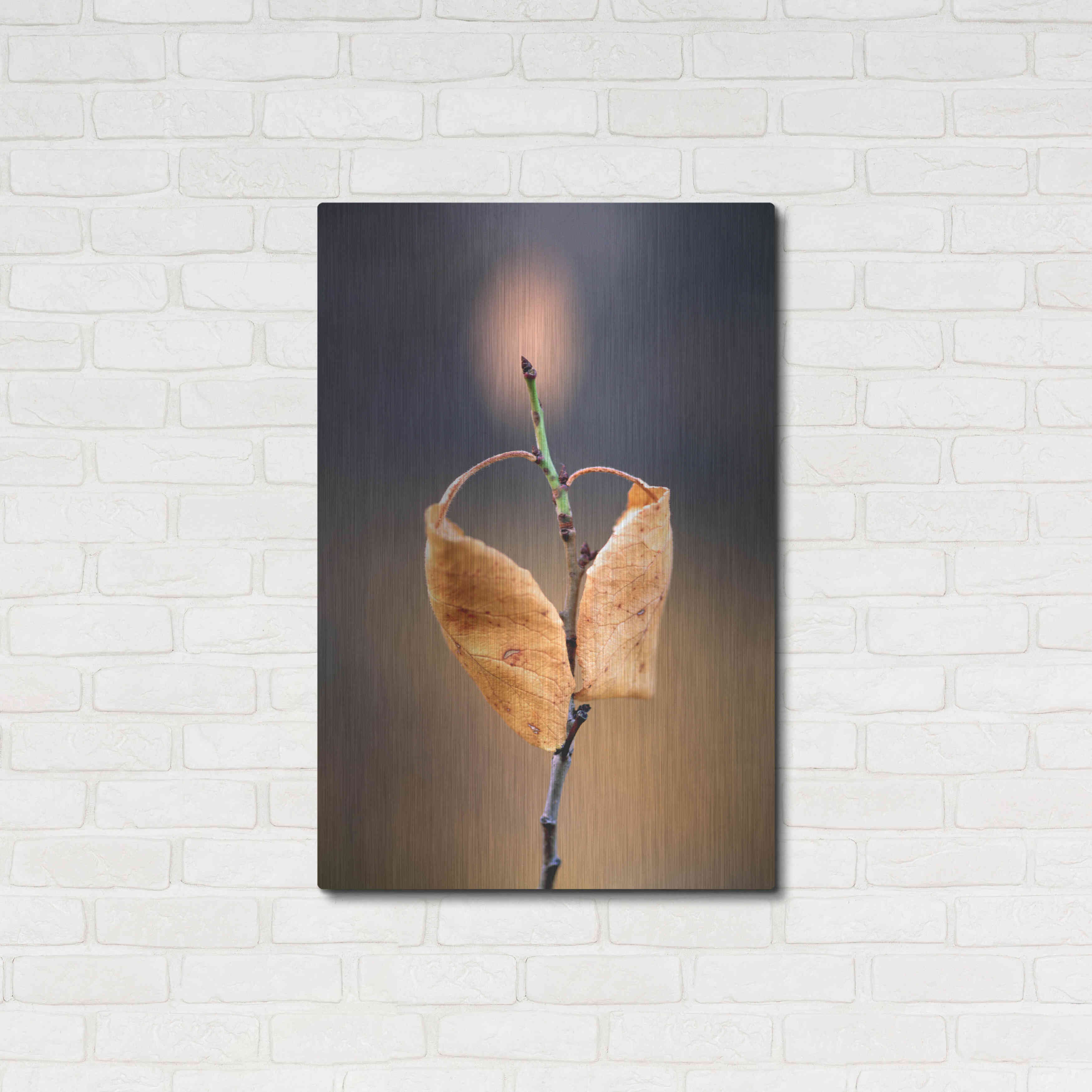 Latitude Run® 'Candle Plant' By Thomas Haney, Metal Wall Art - Wayfair ...