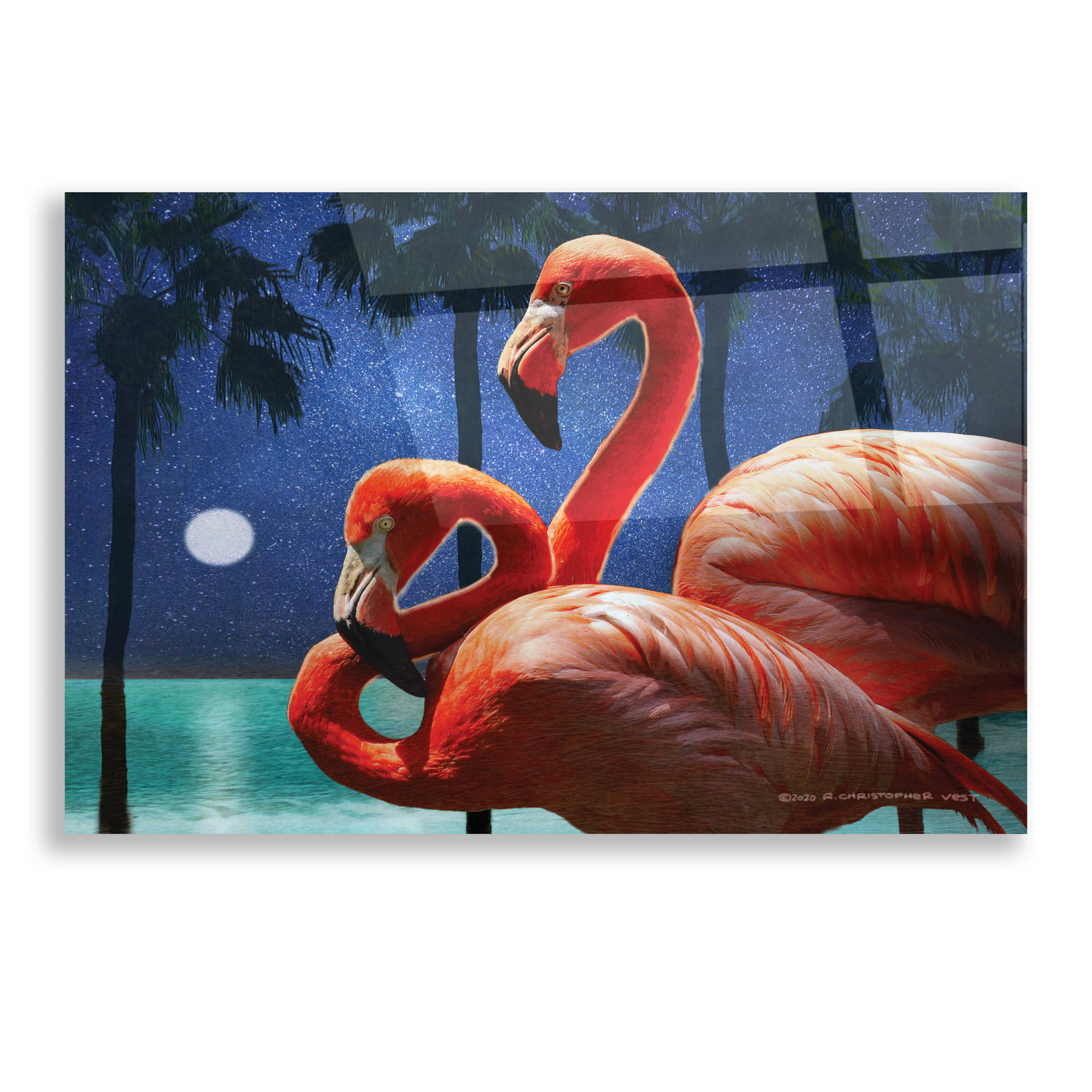 Bay Isle Home™ Moonlight Flamingos by Chris Vest - Unframed Print ...