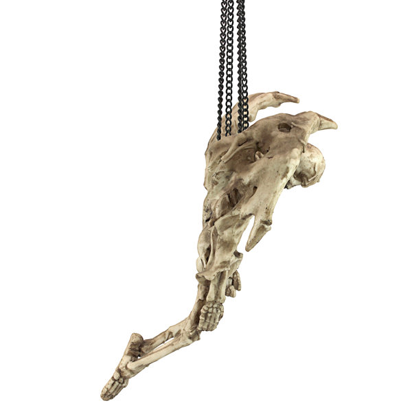 Design Toscano Suspending Death Gothic Hanging Skeleton Decorative ...