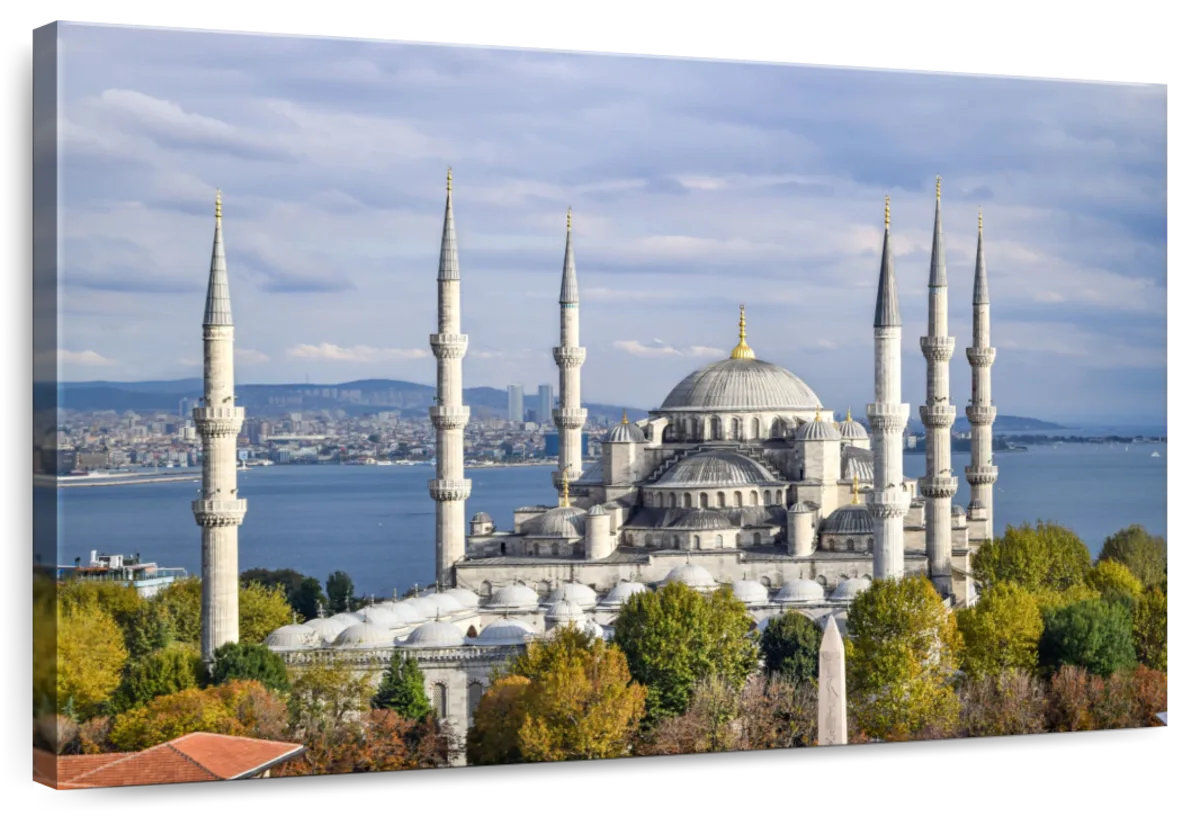 Ebern Designs Istanbul's Blue Mosque | Wayfair
