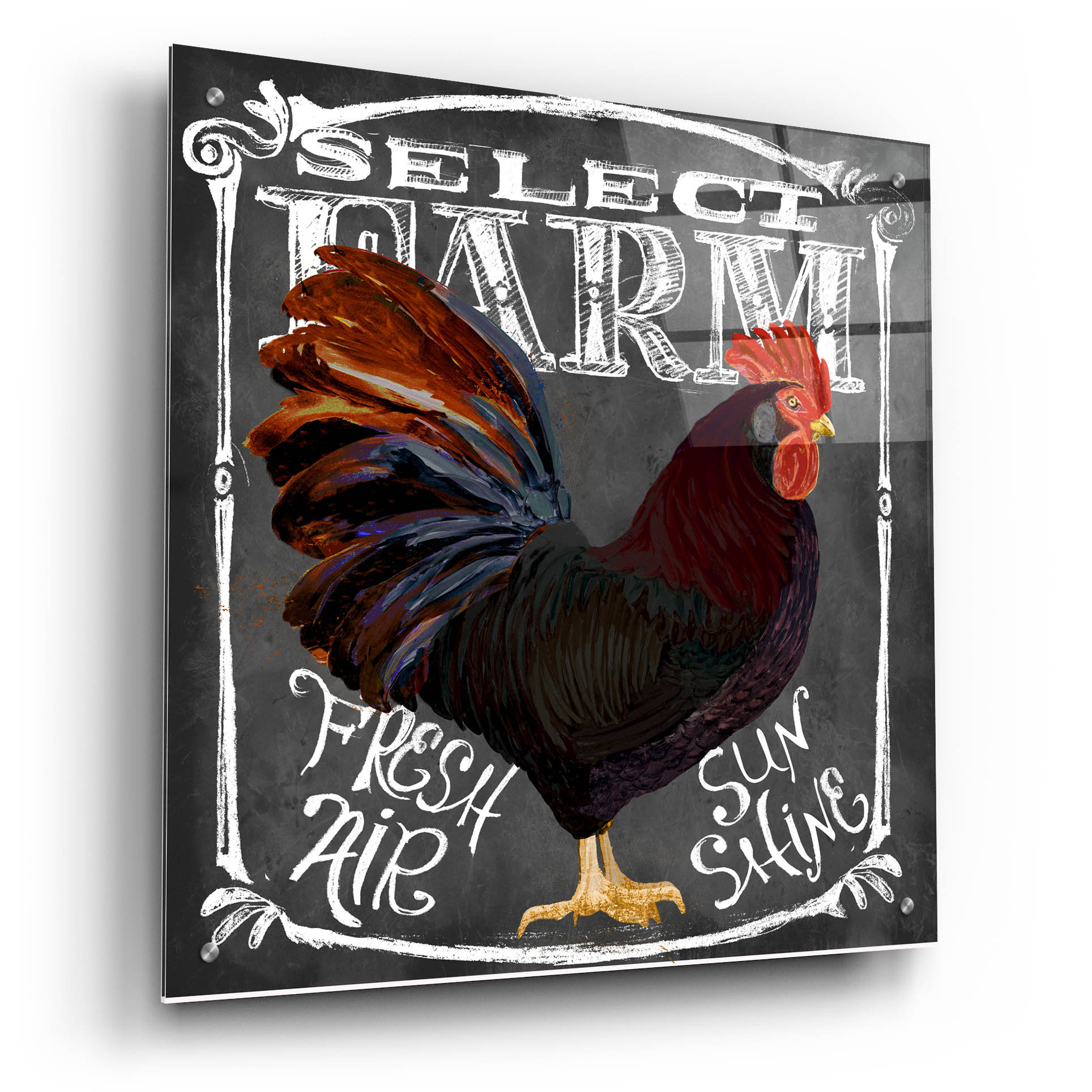 August Grove® 'Rooster On Chalkboard 3' by Art Licensing Studio Acrylic ...