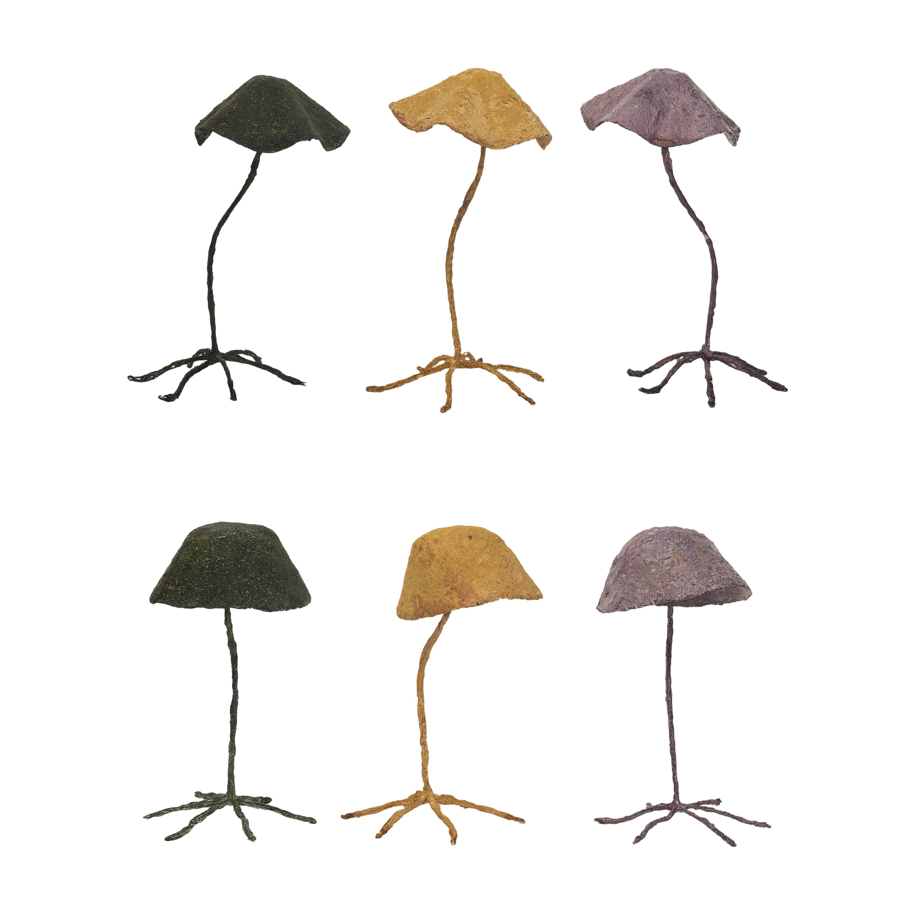 August Grove® Brittina Decorative Object | Wayfair