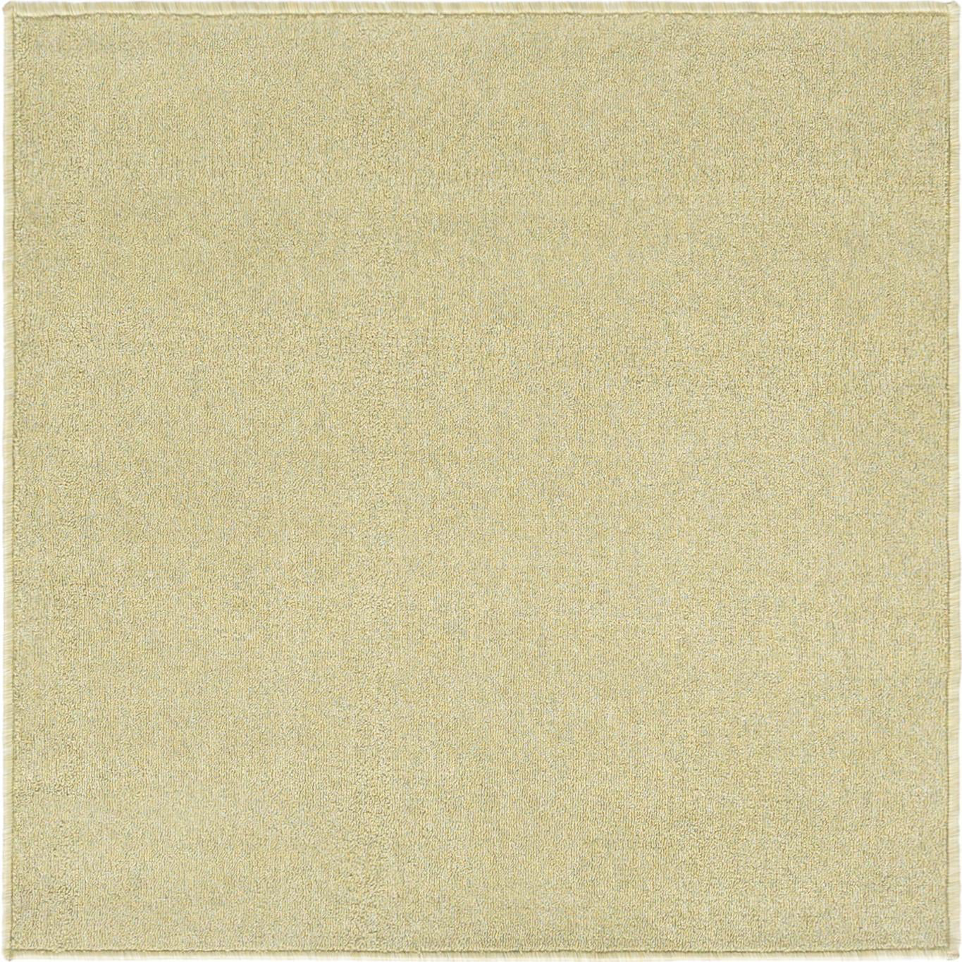 Rugs.com Performance Pastel Green Rug & Reviews | Wayfair