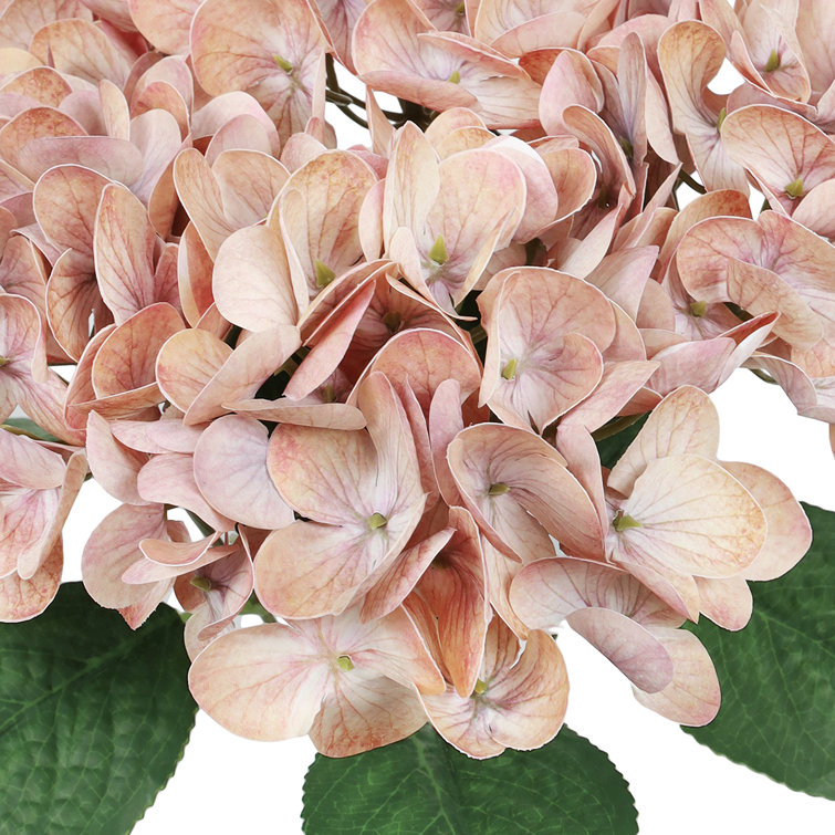 Primrue Real Touch Hydrangea Bush - Wayfair Canada