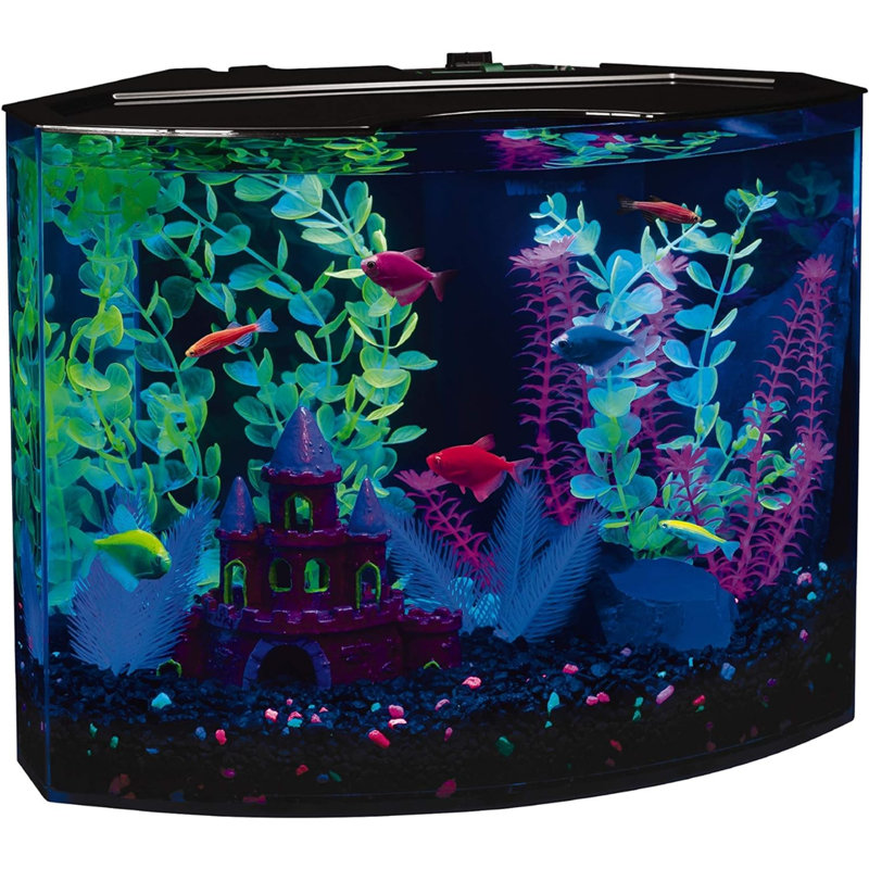 Ebern Designs Aquarium Fish Tank Kits, Includes Fish Tank Decorations ...