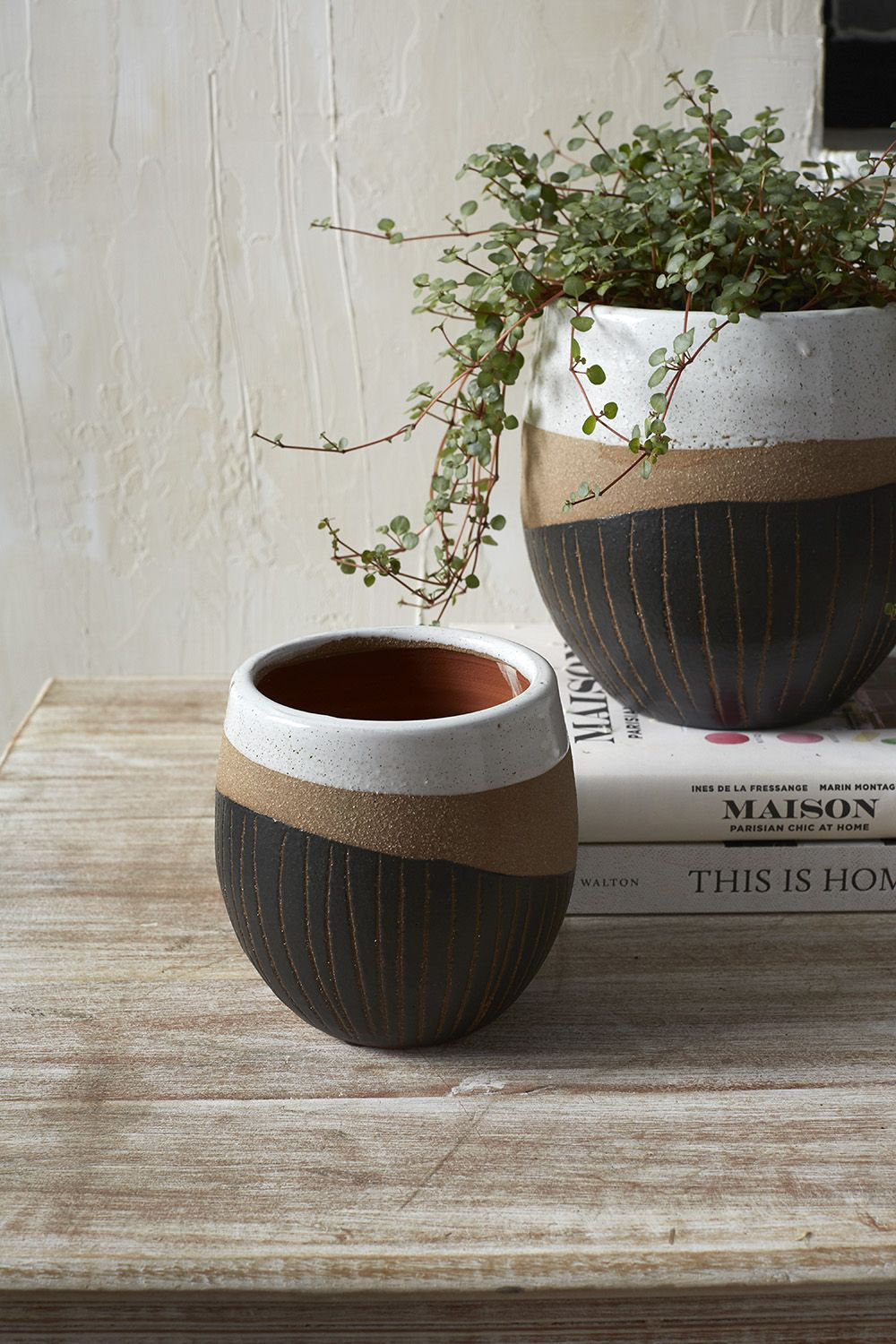 Wade Logan Annmari Pot & Reviews - Wayfair Canada