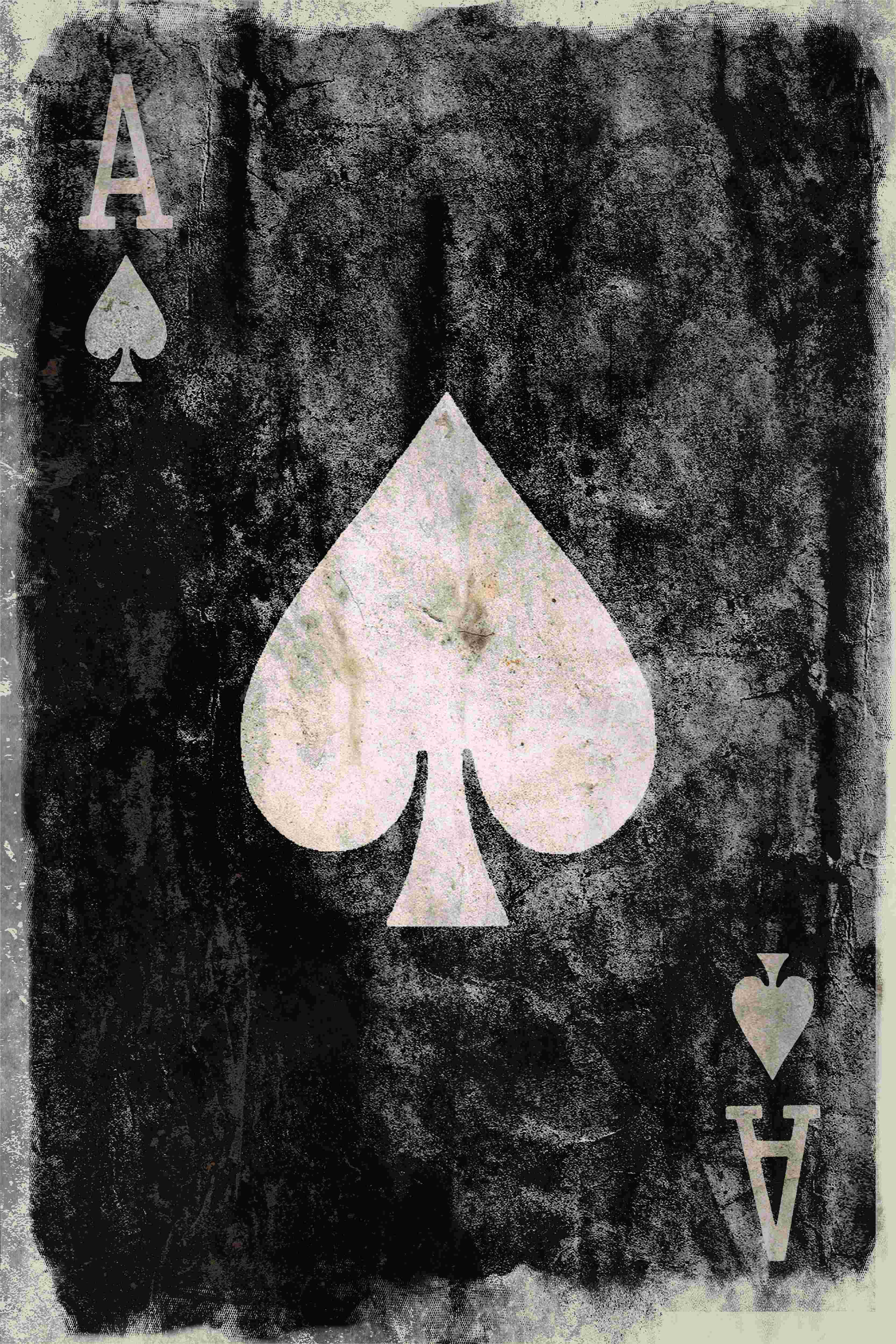 Trinx Ace of Spades - Wrapped Canvas Graphic Art & Reviews | Wayfair