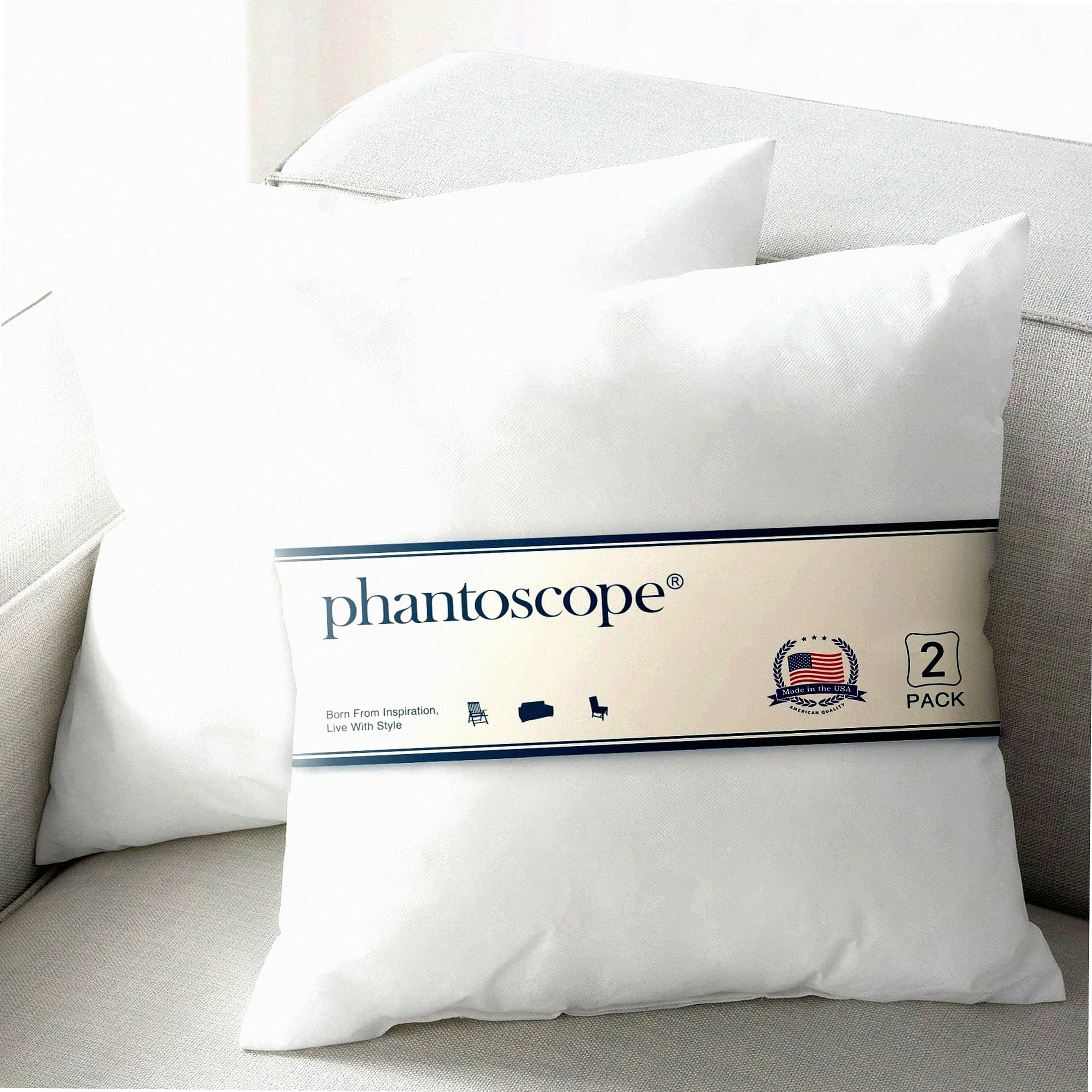 BRBCA Square Pillow Inserts - Sofa Bed Couch Pack of 2 - Throw Pillow Inserts | Wayfair