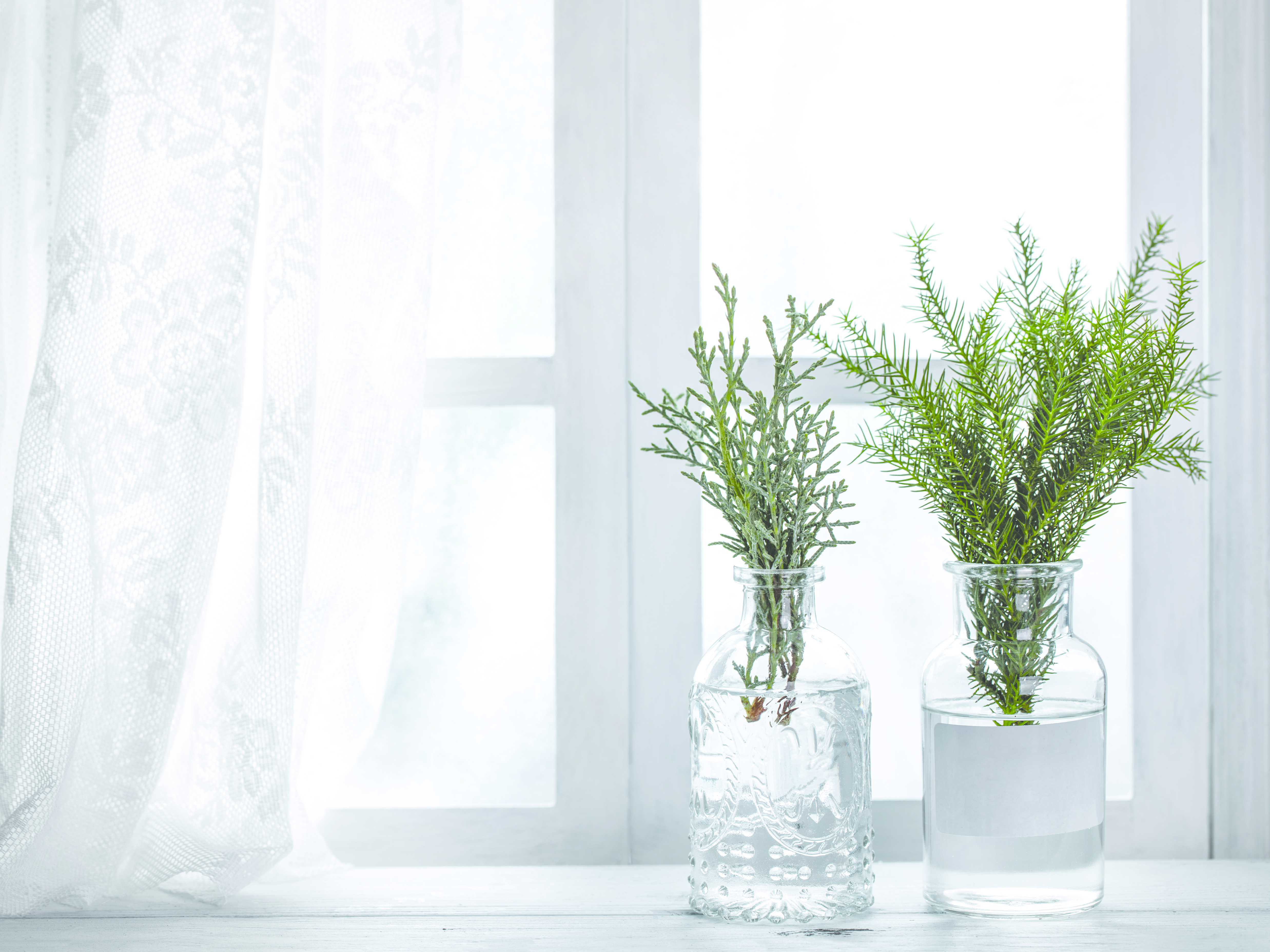 Ebern Designs Greenery On Window Sill - Wayfair Canada