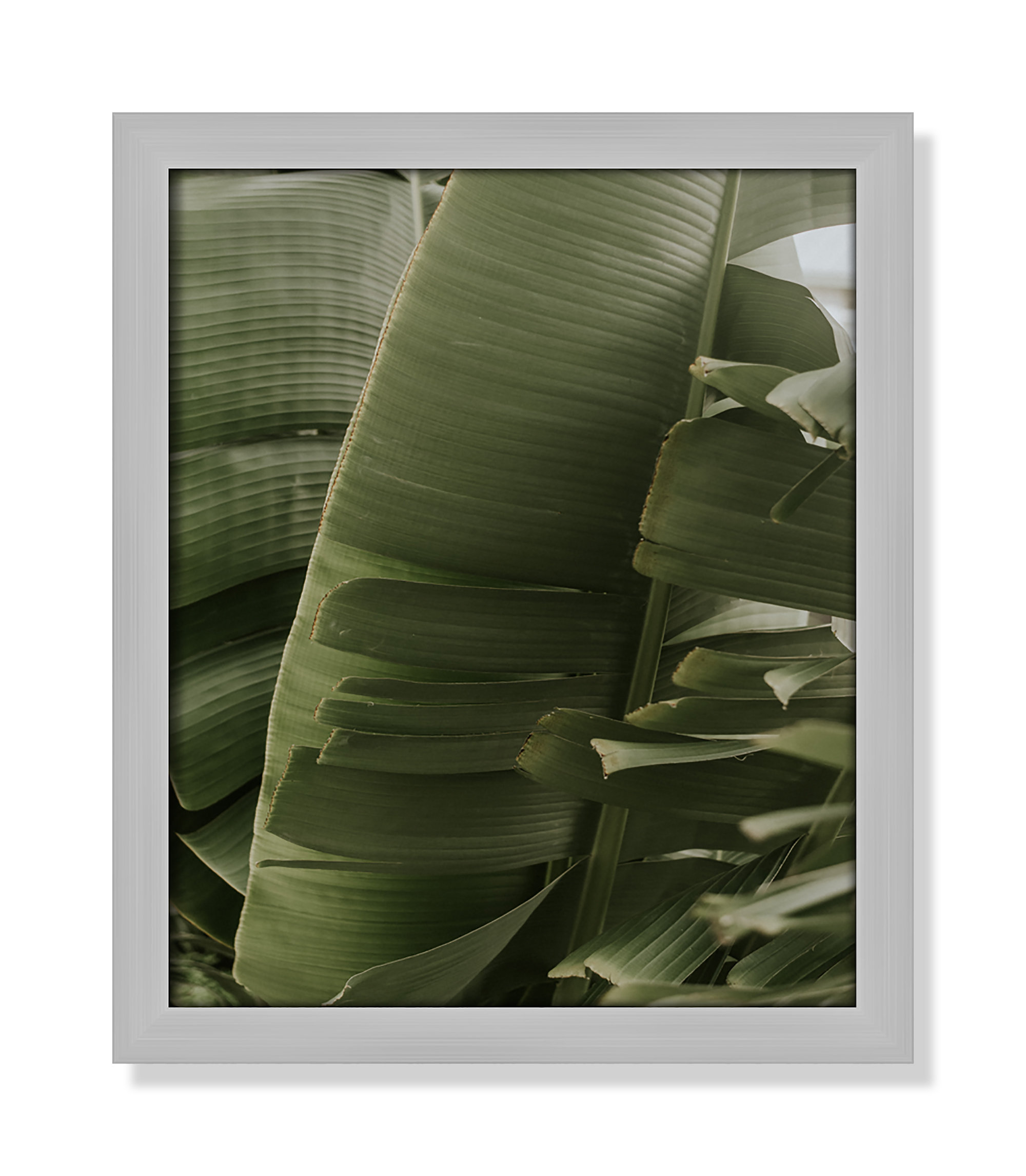 Casa Fine Arts Palm Paradise By Anna Land - Framed Art Full Bleed ...
