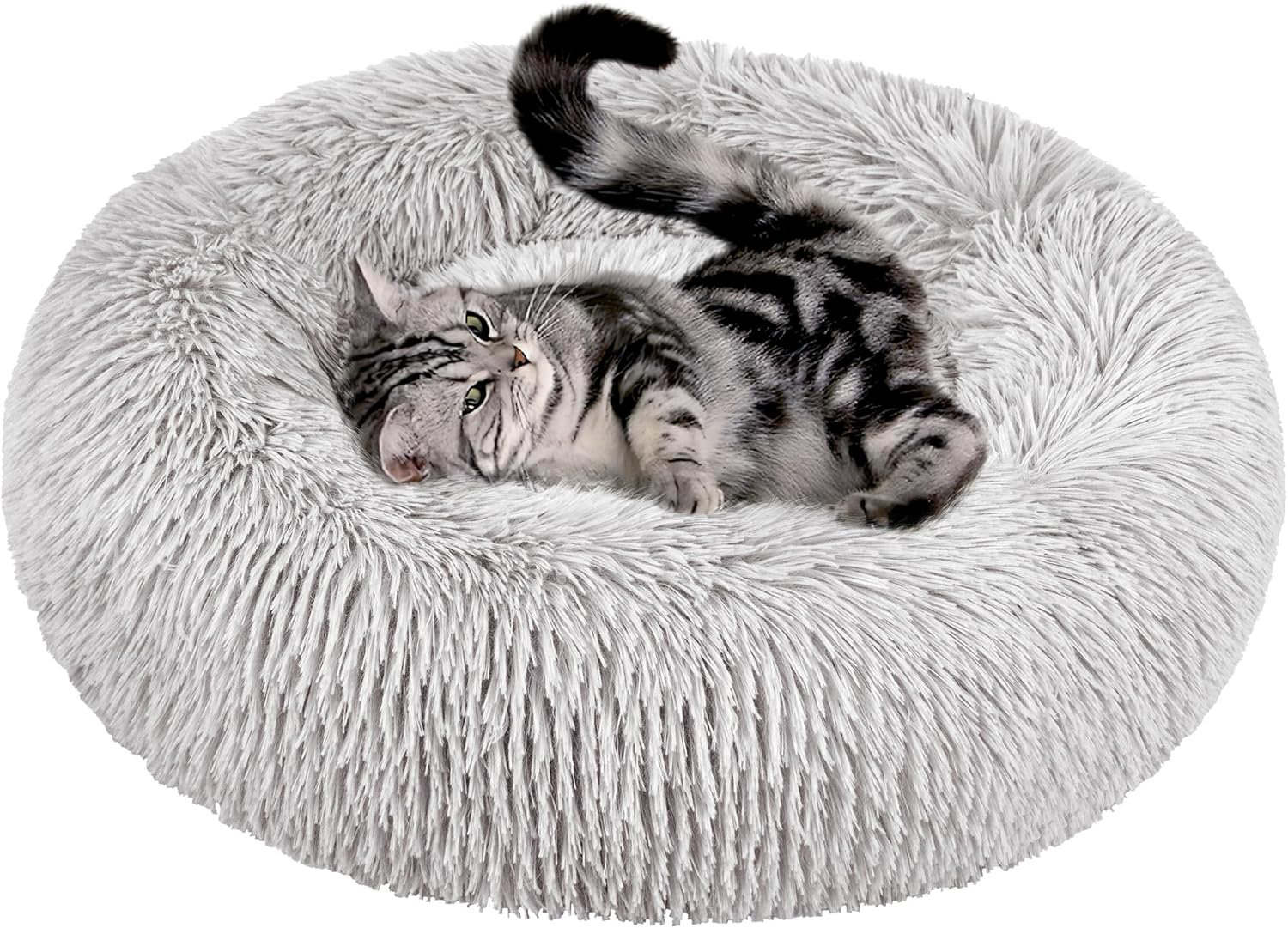 Archie & Oscar™ Oden Bolster Pet Bed | Wayfair