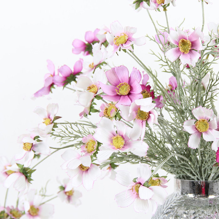House of Hampton® Cosmos Arrangement & Reviews | Wayfair