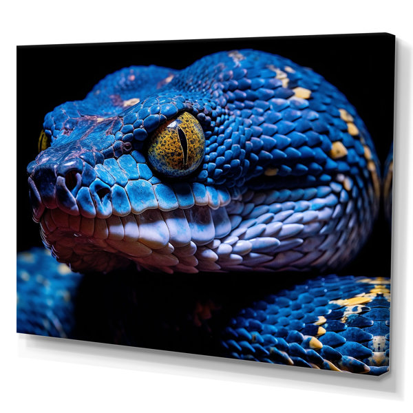 Ebern Designs " Blue Anaconda Snake Wildlife Photography " on Canvas ...