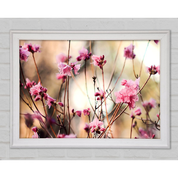 Bright Star Spring Teasers - Single Picture Frame Print | Wayfair.co.uk