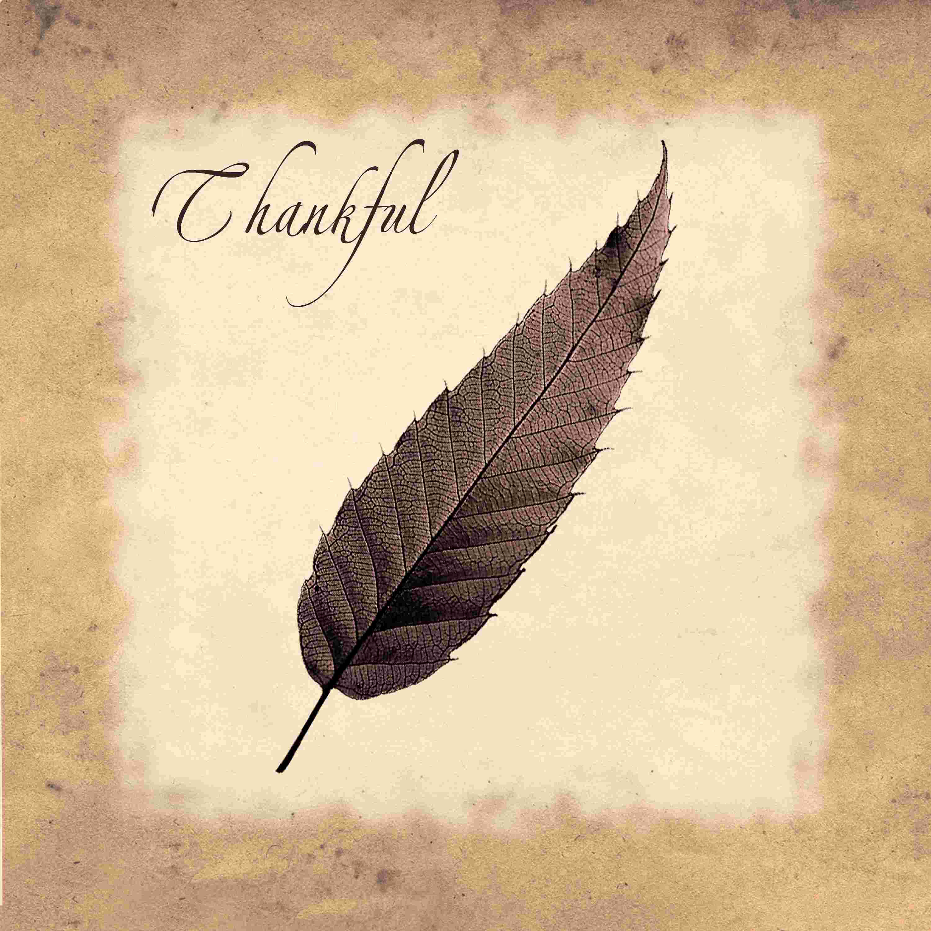 Winston Porter Traditional Sepia Leaf 12 - Wrapped Canvas Graphic Art ...