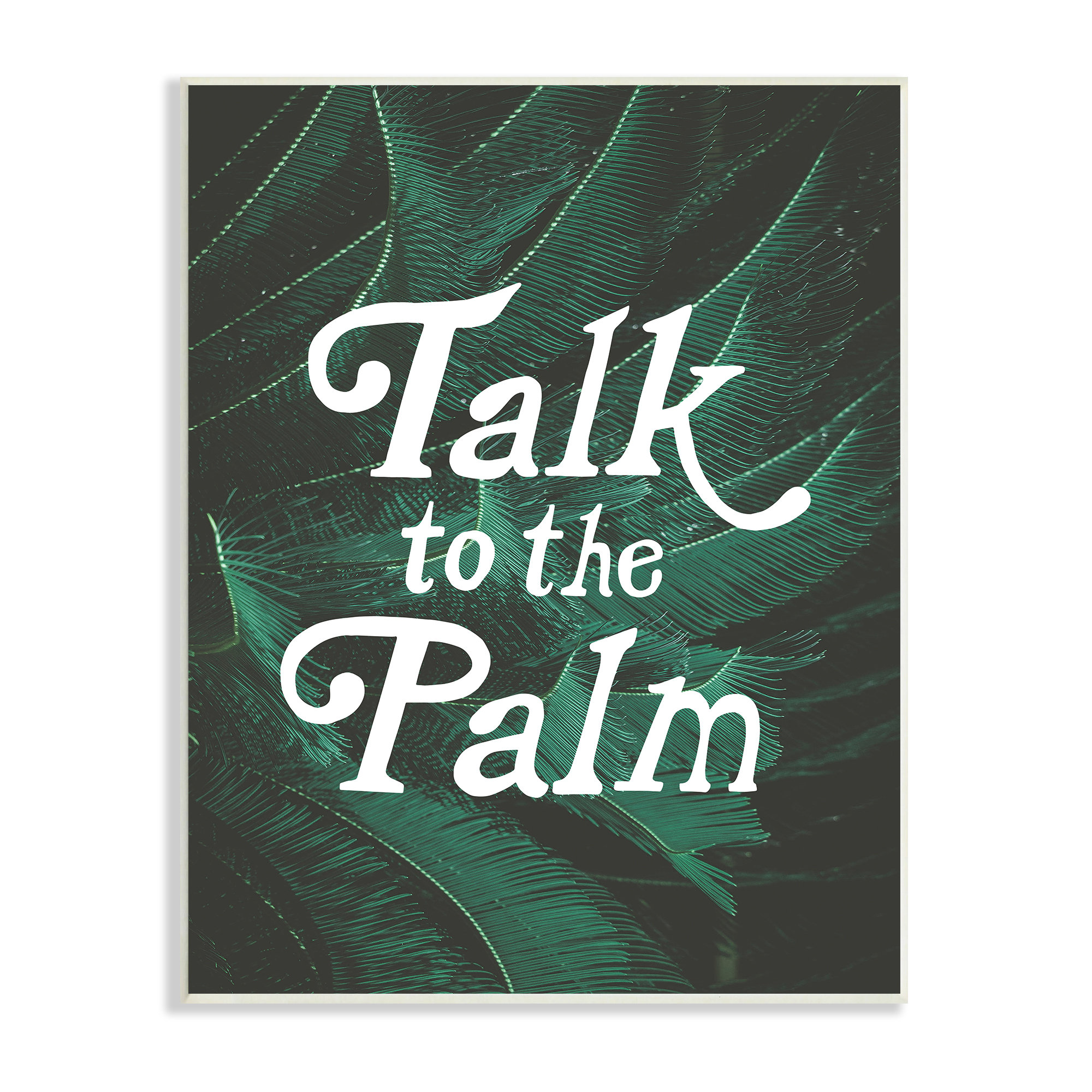Stupell Industries Talk To Palm Punny Tropical Plant Botanical Leaf ...