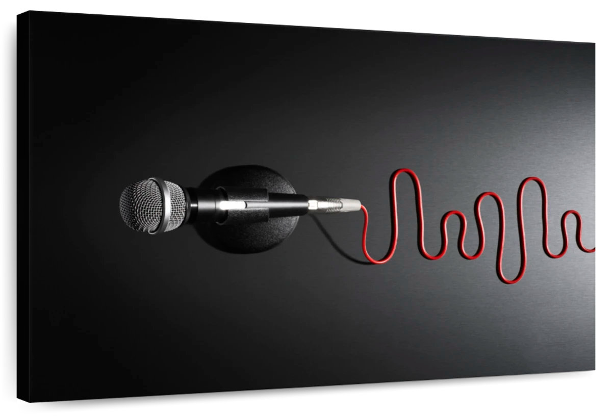 Elephant Stock Wired Microphone | Wayfair