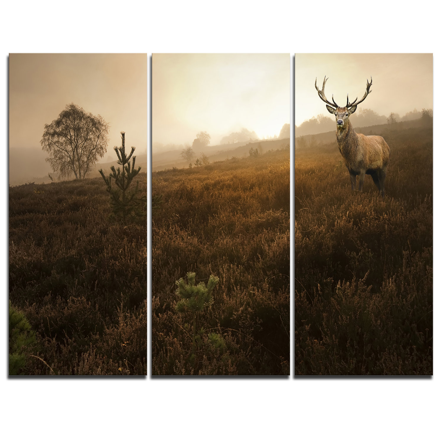 Design Art Mist Forest with Red Deer Stag - 3 Piece Graphic Art on ...