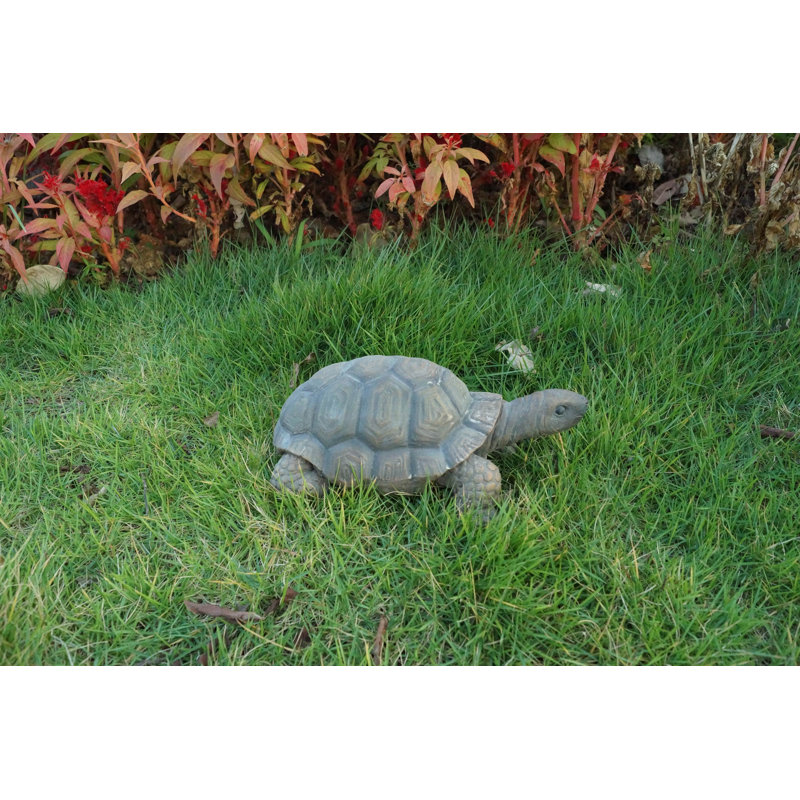 Hi-Line Gift Ltd. Turtle Statue & Reviews | Wayfair