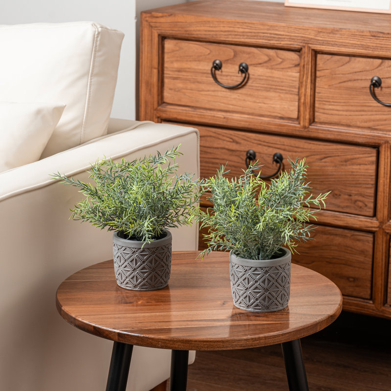Primrue 2-Piece Faux Artificial Herb Plants Indoor | Wayfair