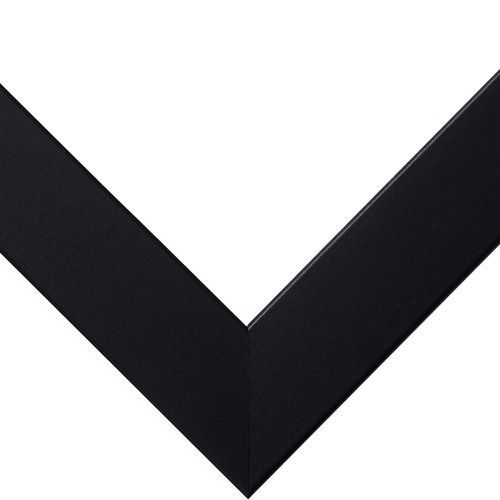 Black Picture Frames You'll Love | Wayfair