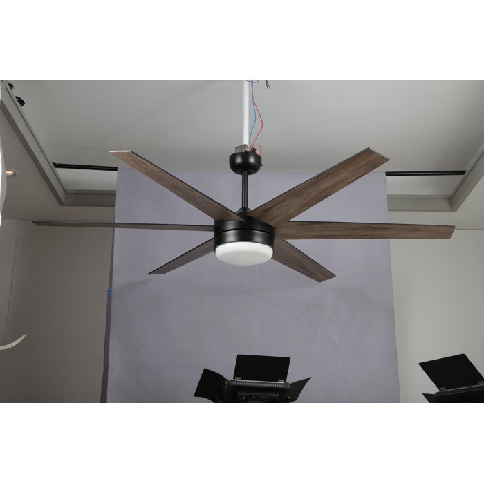 Ebern Designs Matte Black Integrated Led 6 Speed Color Changing Indoor ...