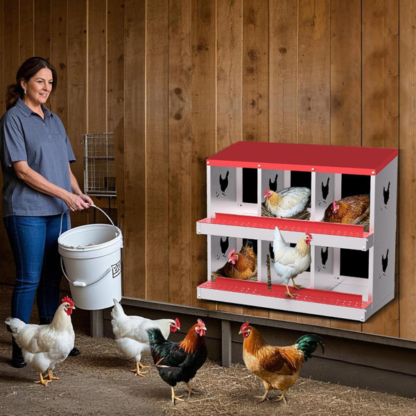 Archie & Oscar™ Chicken Nesting Box, 6 Hole 2 Layer Compartments Laying ...