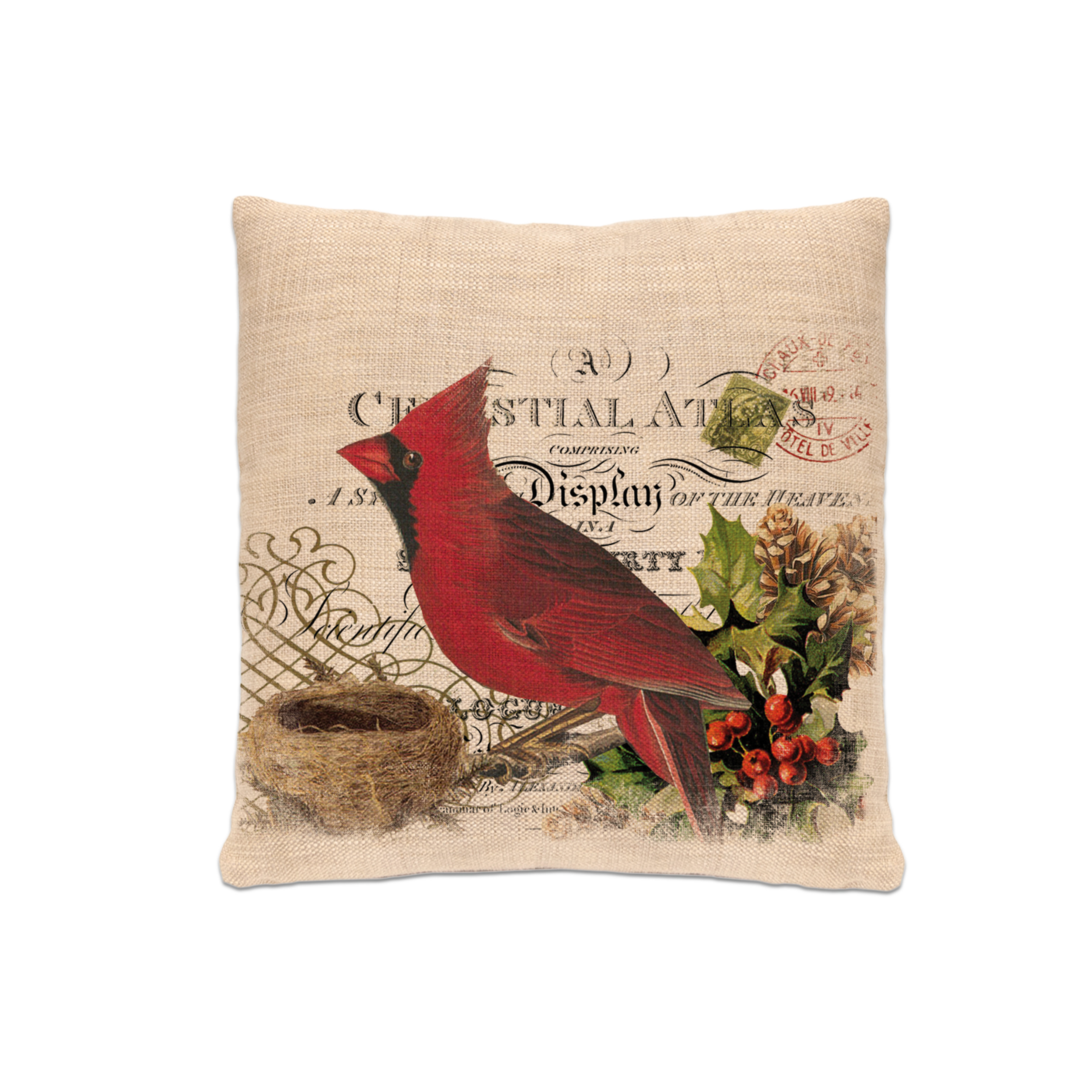 Heritage Lace Winter Garden Cardinal Throw Pillow & Reviews | Wayfair