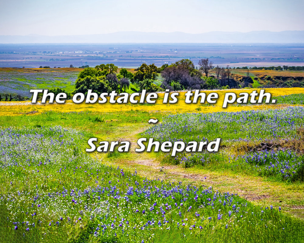 Trinx Sara Shepard Quote: The obstacle is the path. - Wayfair Canada
