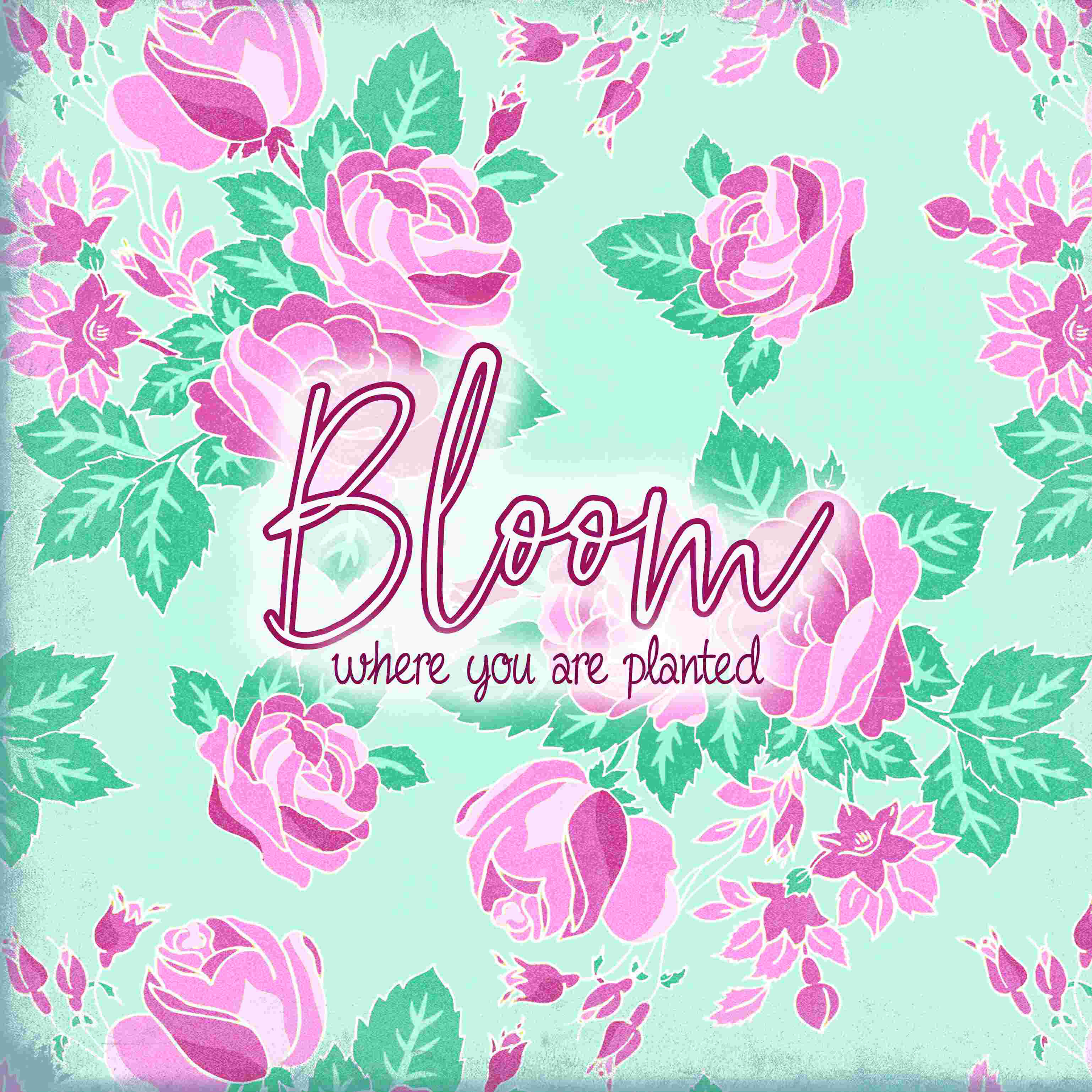 Trinx Where You are Planted 2 - Wrapped Canvas Graphic Art | Wayfair