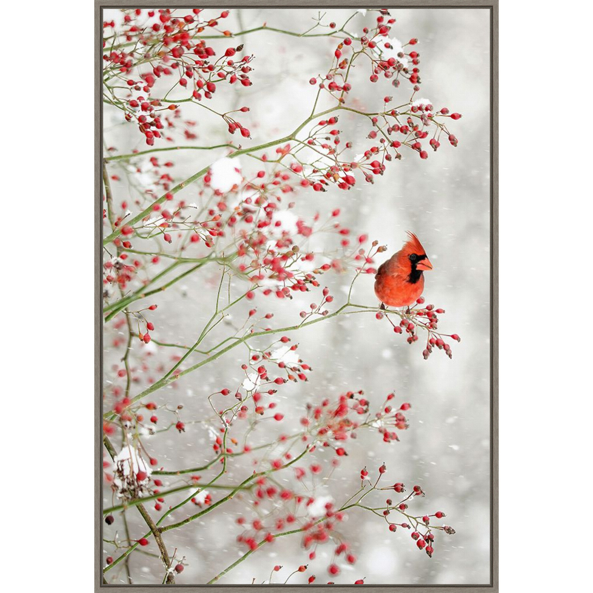 Latitude Run® Carrie Ann Grippo-pike Red Cardinal And Red Berries ...