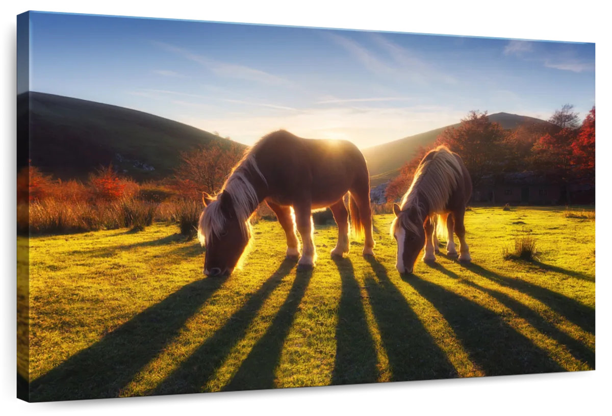 Ebern Designs Crowle Sunset Horses - Wayfair Canada