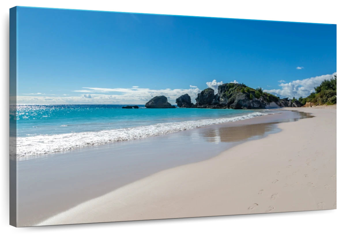 Elephant Stock Bermuda Horseshoe Bay Beach | Wayfair