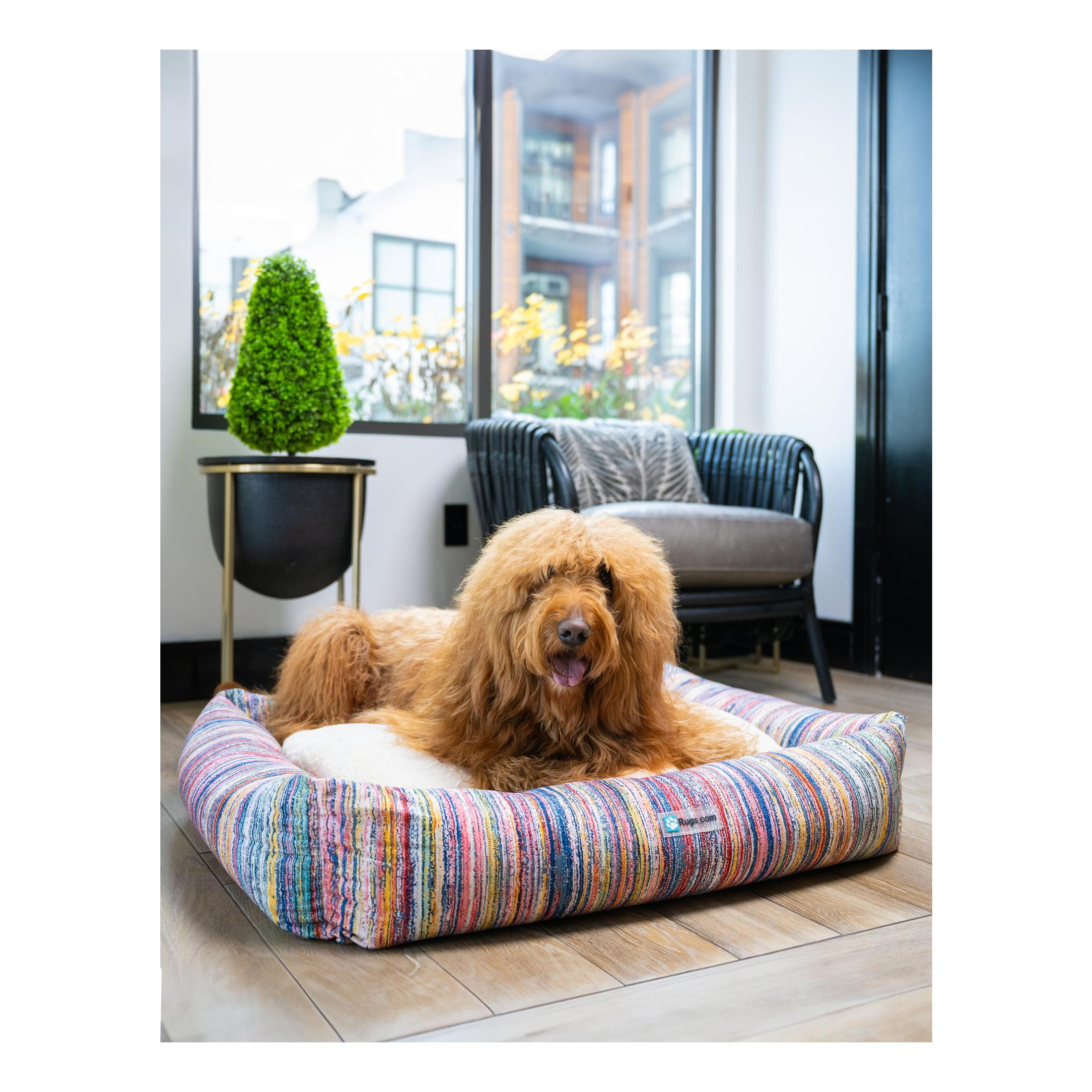 Rugs.com Topaz Premium Pet Bed Rug | Wayfair