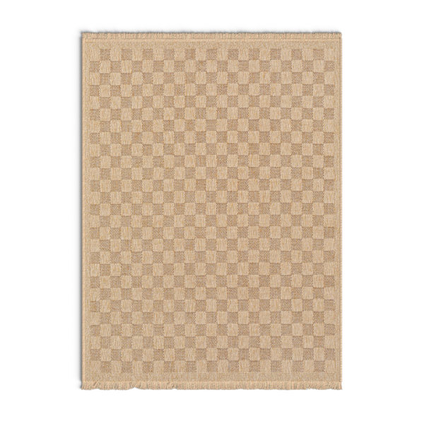 Birch Lane™ Abbie Checkered Outdoor Rug & Reviews | Wayfair