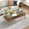 George Oliver Rectangle Coffee Table, Tempered Glass Tabletop with Gold ...