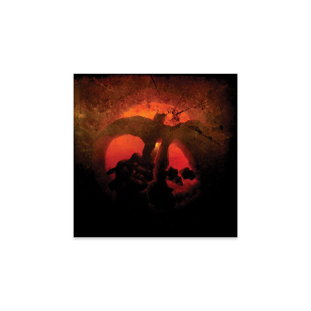 Red Barrel Studio Footsteps Behind You Print On Acrylic Glass - Wayfair ...