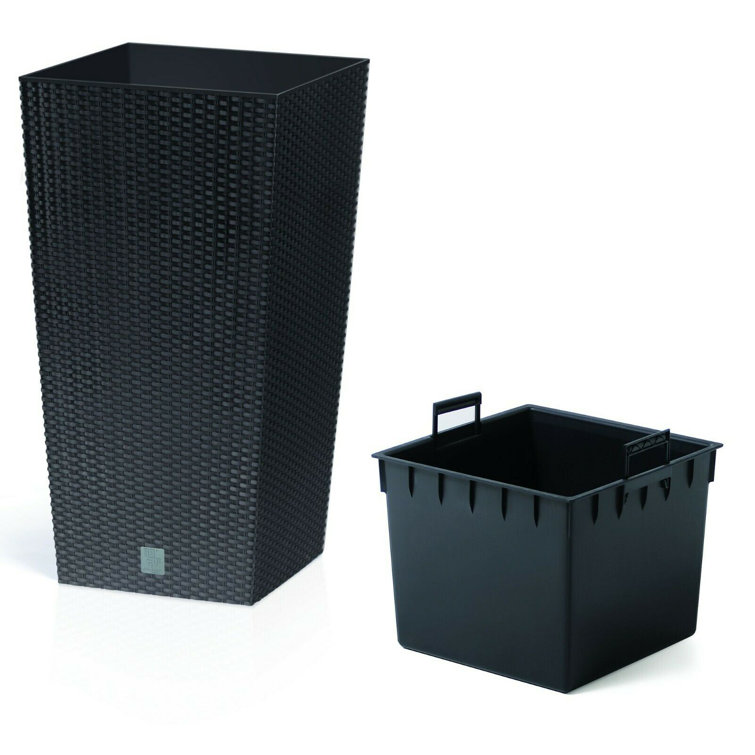 17 Stories Kanwal Plant Pot | Wayfair.co.uk