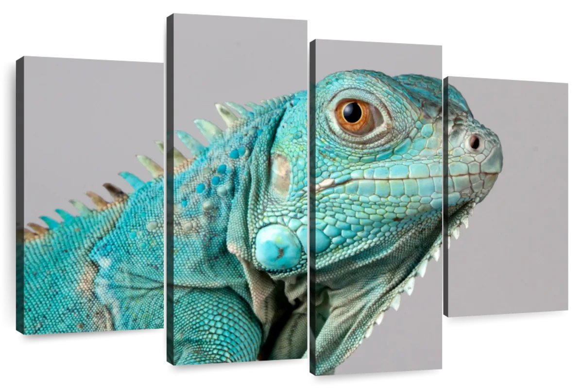 Ebern Designs Brampt Blue Iguana | Wayfair