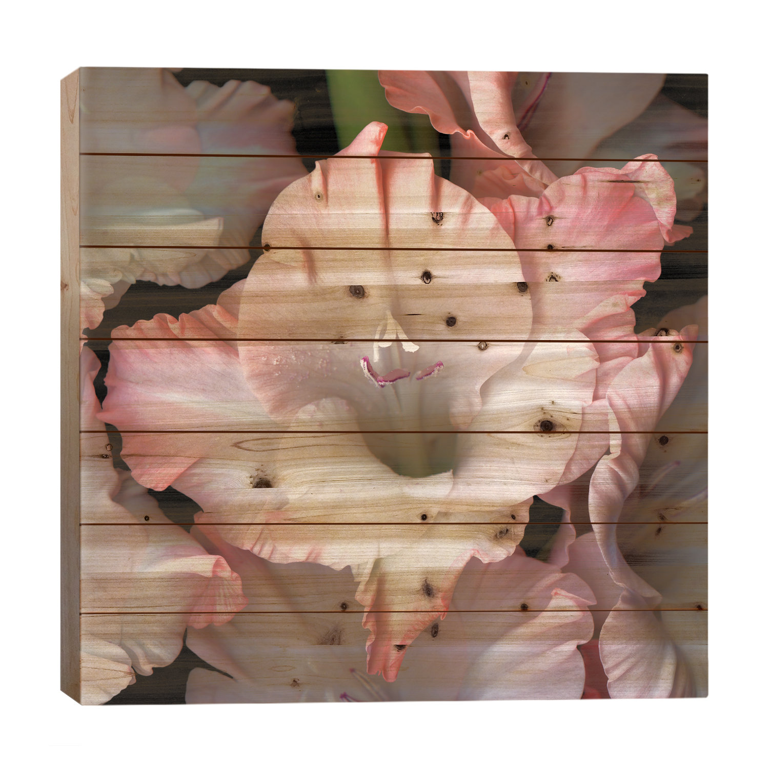 Orren Ellis And I Give to You by Magda Indigo - Unframed Graphic Art on ...