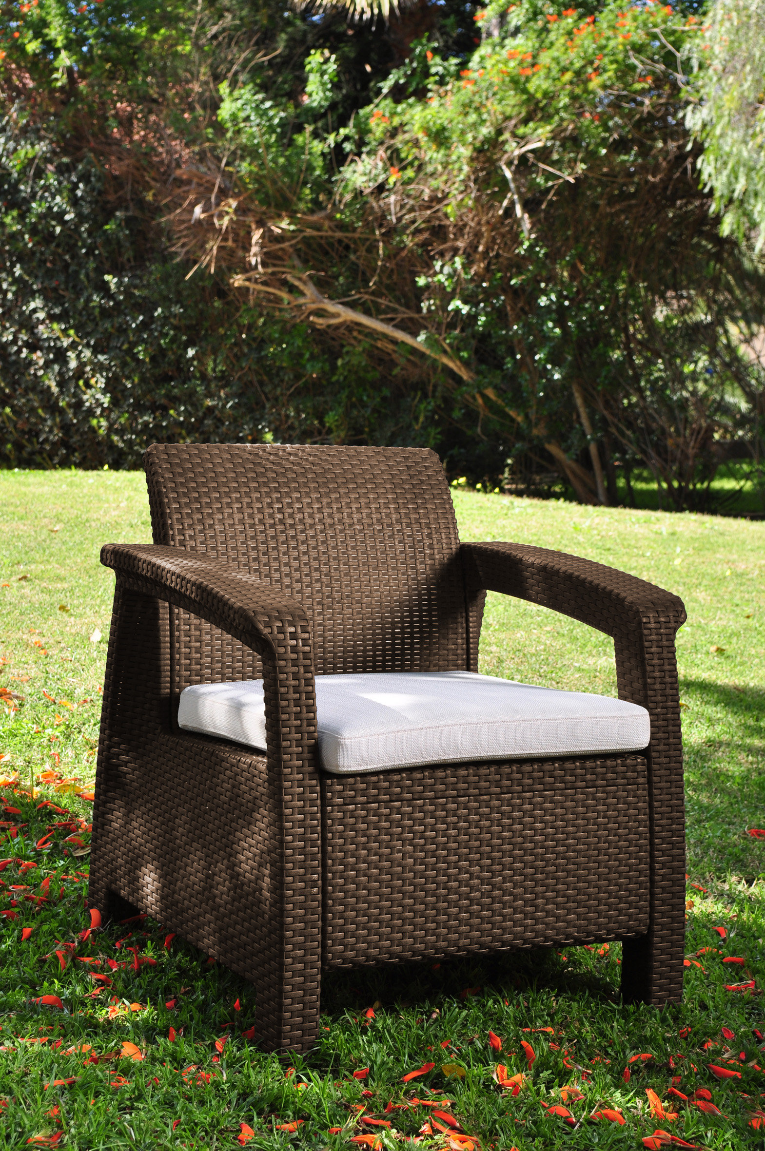 Mercury Row® Colona Patio Chair with Cushions & Reviews - Wayfair Canada