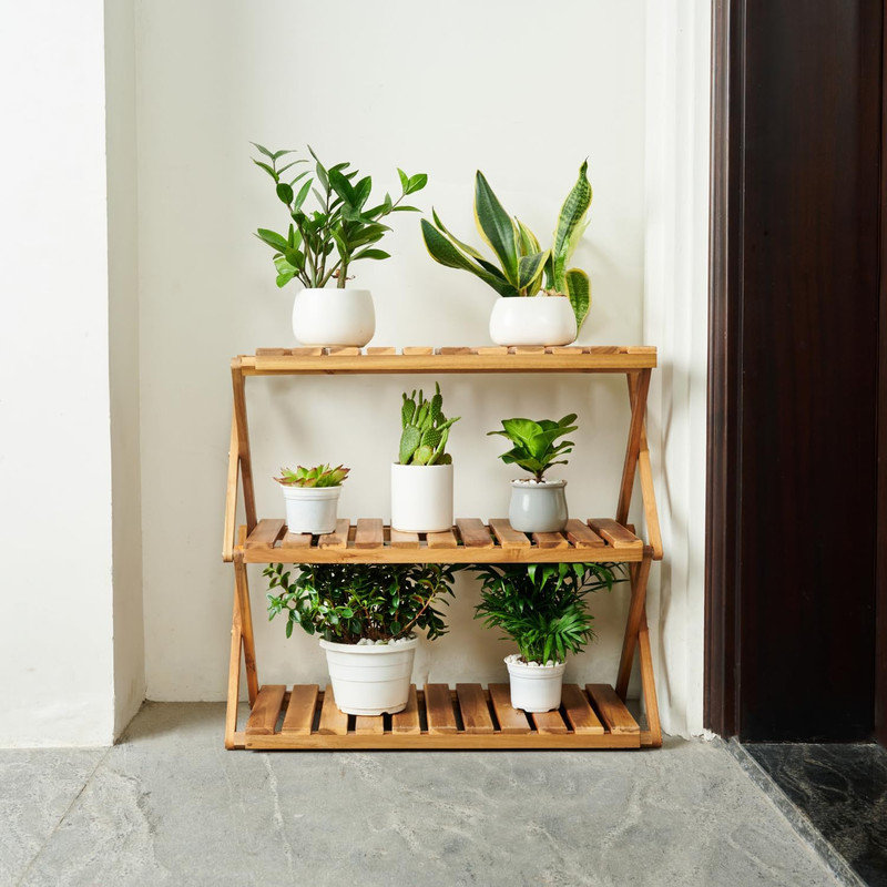 Arlmont & Co. Auringer Plant Stand | Wayfair